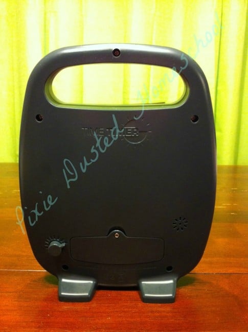 Teaching Time Concept with Time Timer - This Roller Coaster Called Life