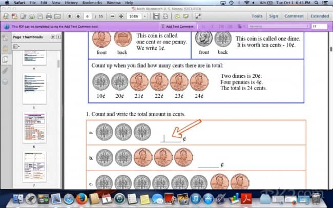 Math Mammoth - Review - This Roller Coaster Called Life